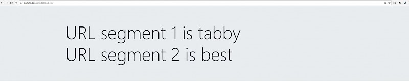 Rendering our pages and using URL segments